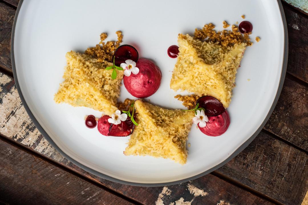 FIVE REGIONS, FIVE FOOD-WINE MATCHES