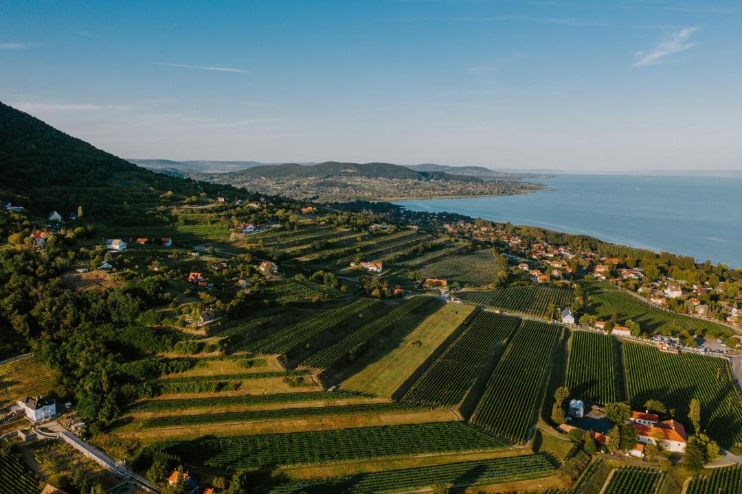 Balaton awaits you with unforgettable flavours