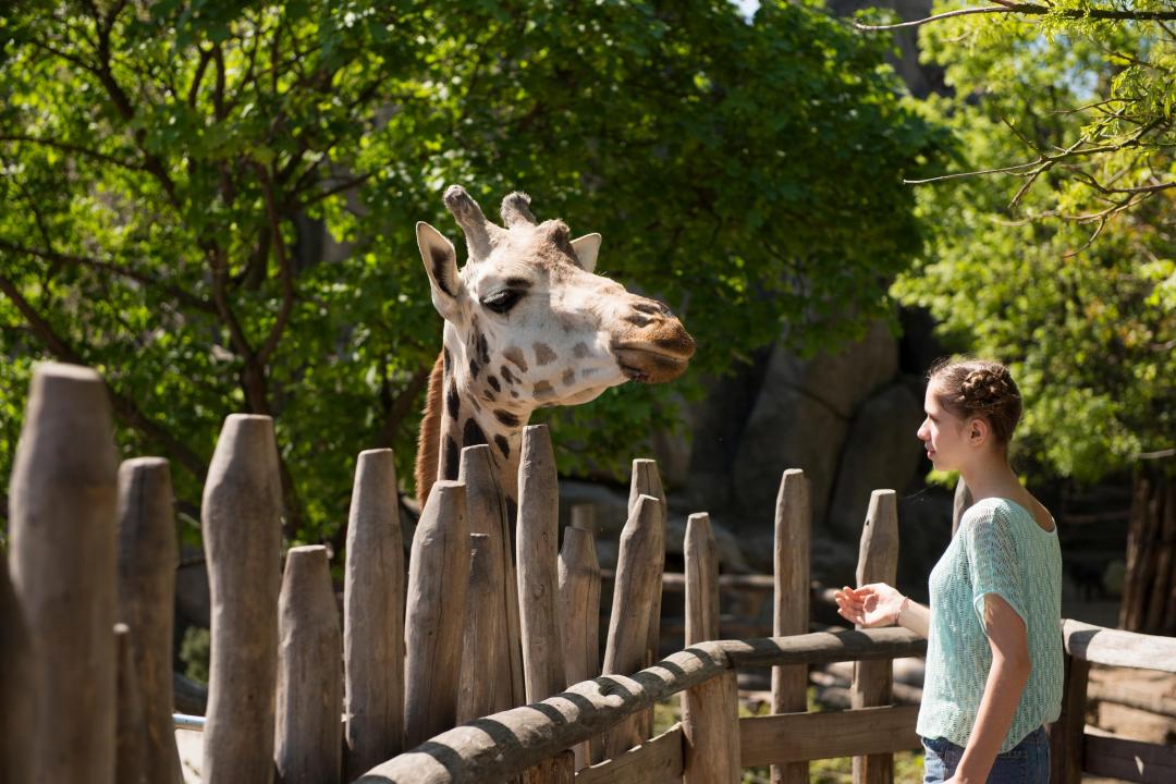 Budapest Zoo: the Budapest destination that's a surefire hit