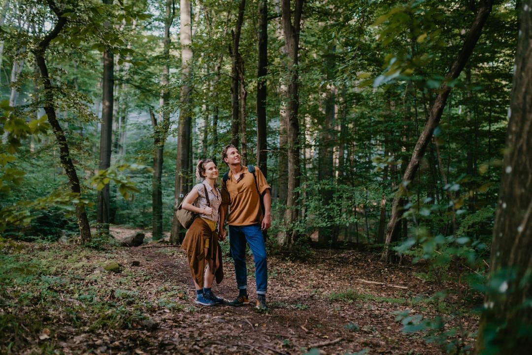 Adventures in the Zemplén Mountains